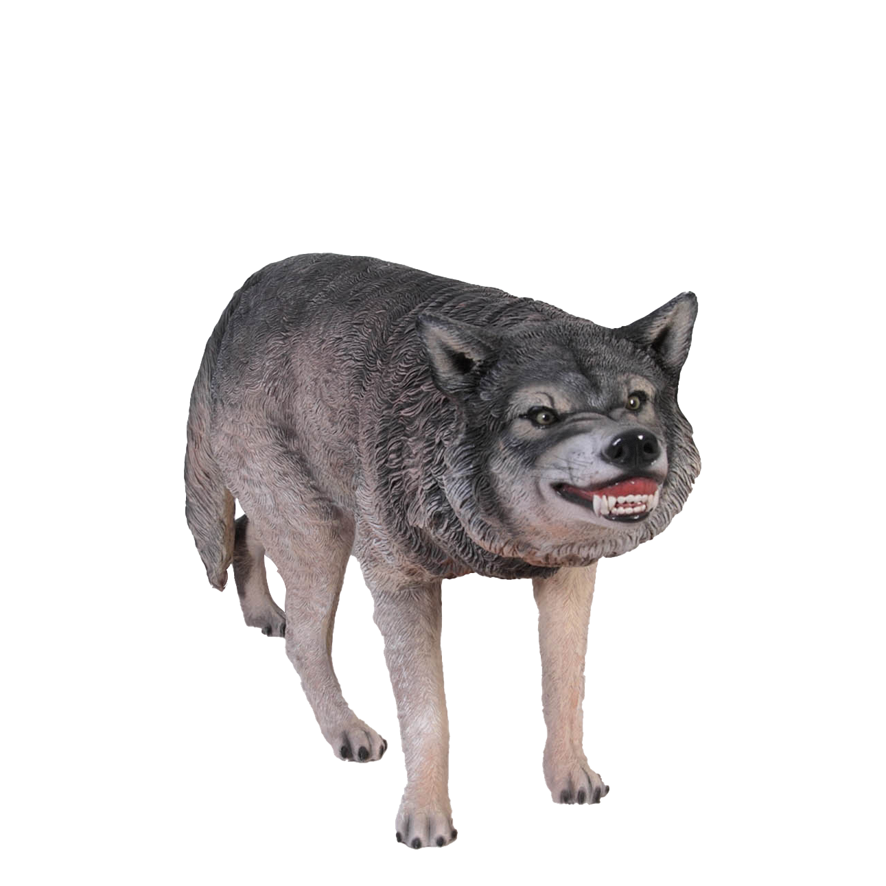Growling Wolf Life Size Statue - Prop Rental – LM Treasures Prop Rentals