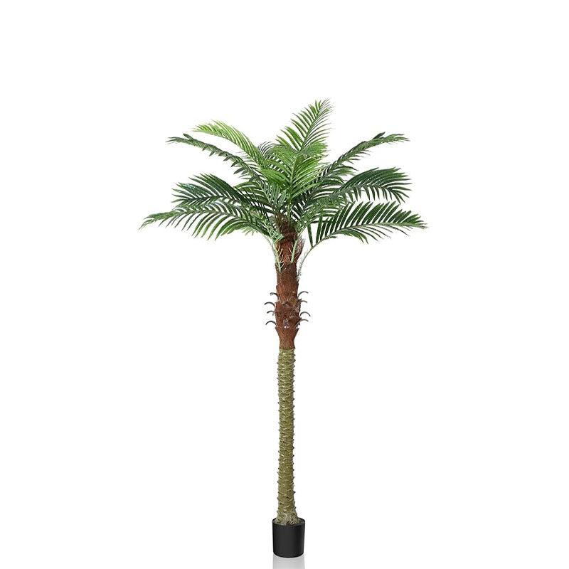 6ft Medium Palm Tree - Prop Rental – LM Treasures Prop Rentals