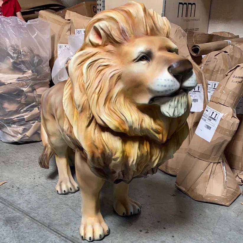 Lion Life Size Statue - Prop Rental – LM Treasures Prop Rentals