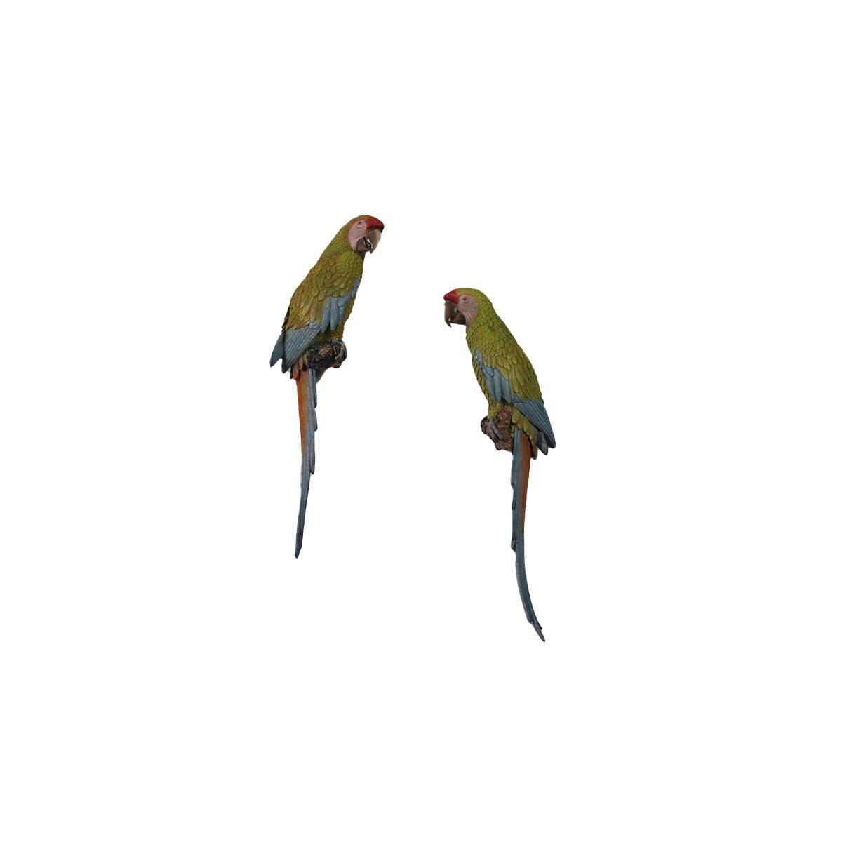 Hanging Macaw Buffon Parrots Statue - Prop Rental – LM Treasures Prop ...